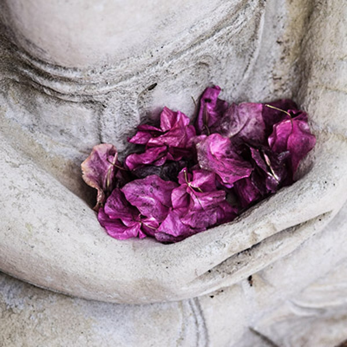 Ragam Cerita Amisa Puja – Buddhazine