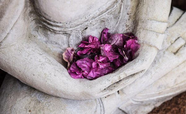 Buddhazine | Ragam Cerita Āmisa Pūjā